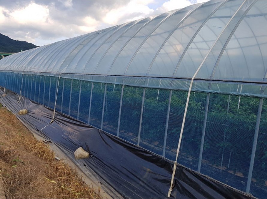 Chinga ancorare folie solar, 2 cm, 500 metri - eMAG.ro